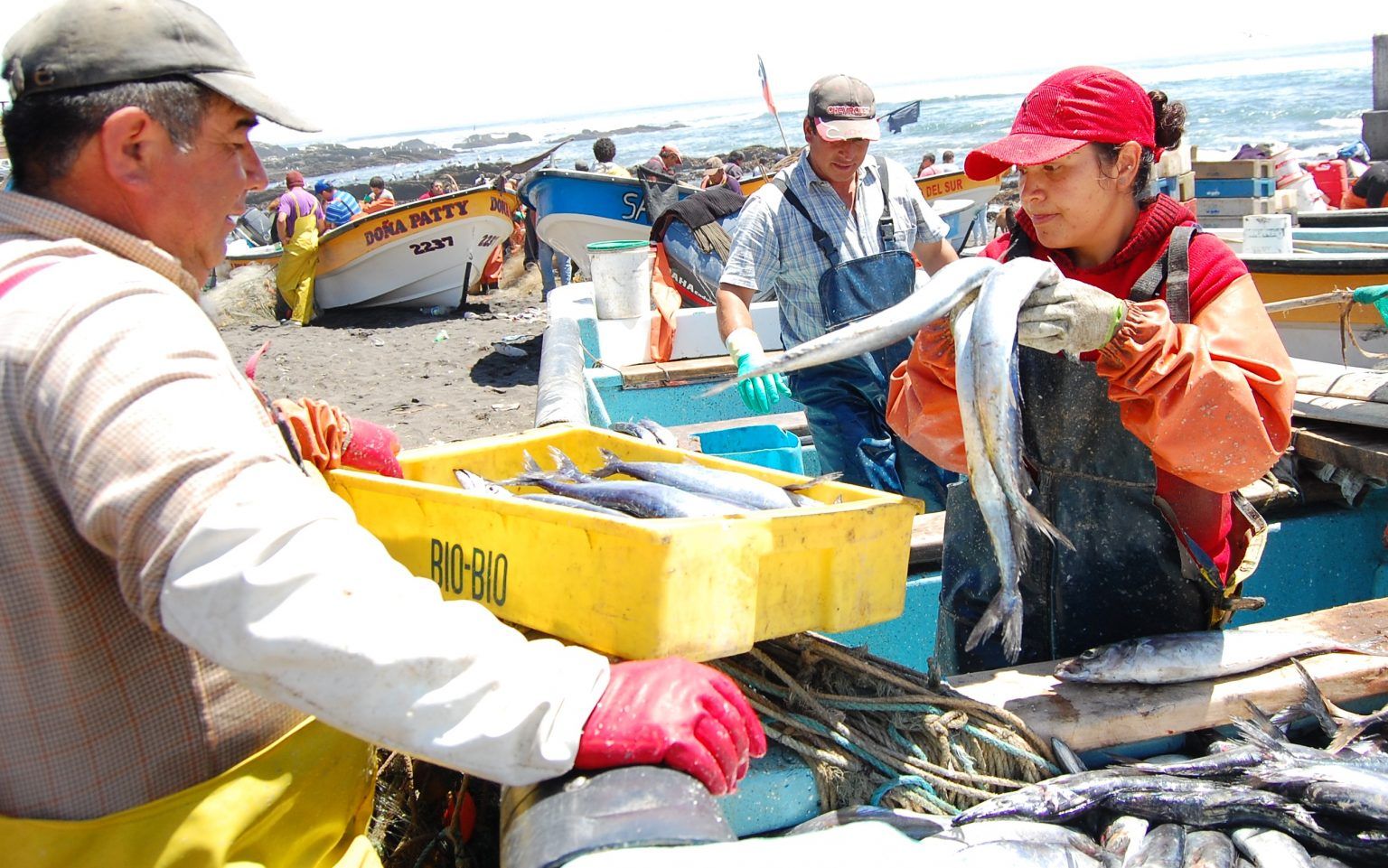 Mujeres en la pesca, de Osciel Velásquez, de Sonapesca