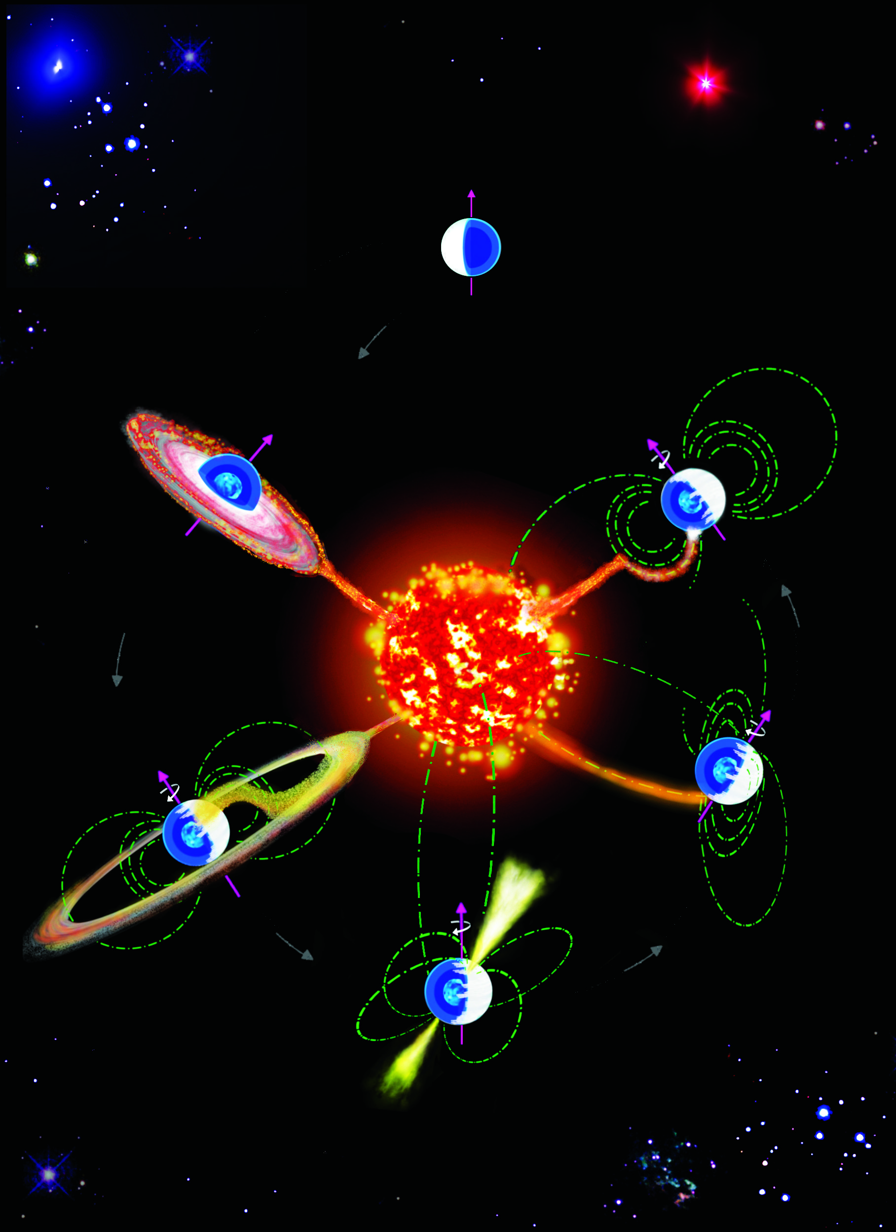 ASTROFÍSICOS INVESTIGAN ENANAS BLANCAS