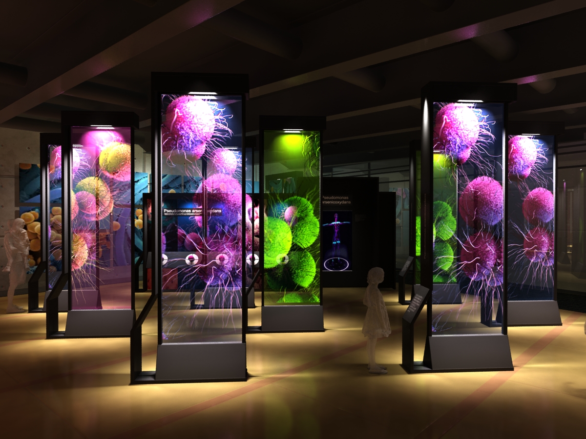 MIM ABRIRÁ NUEVA SALA INTERACTIVA INSPIRADA EN EL COVID-19