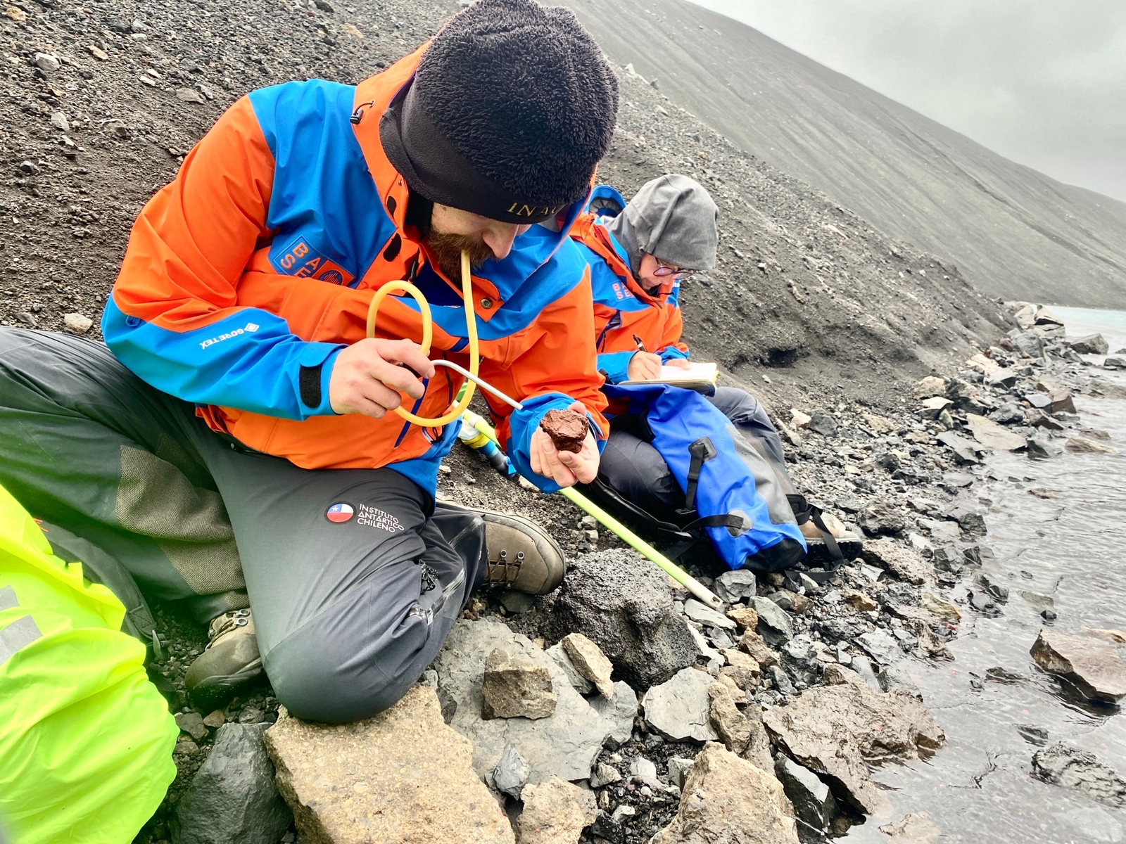 MONITOREAN INVERTEBRADOS EN ANTÁRTICA - Tour Innovación