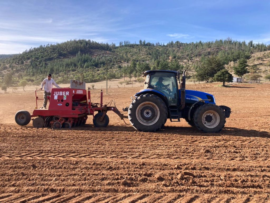 10 PUNTOS CLAVES PARA EL ESTABLECIMIENTO DE LA ALFALFA