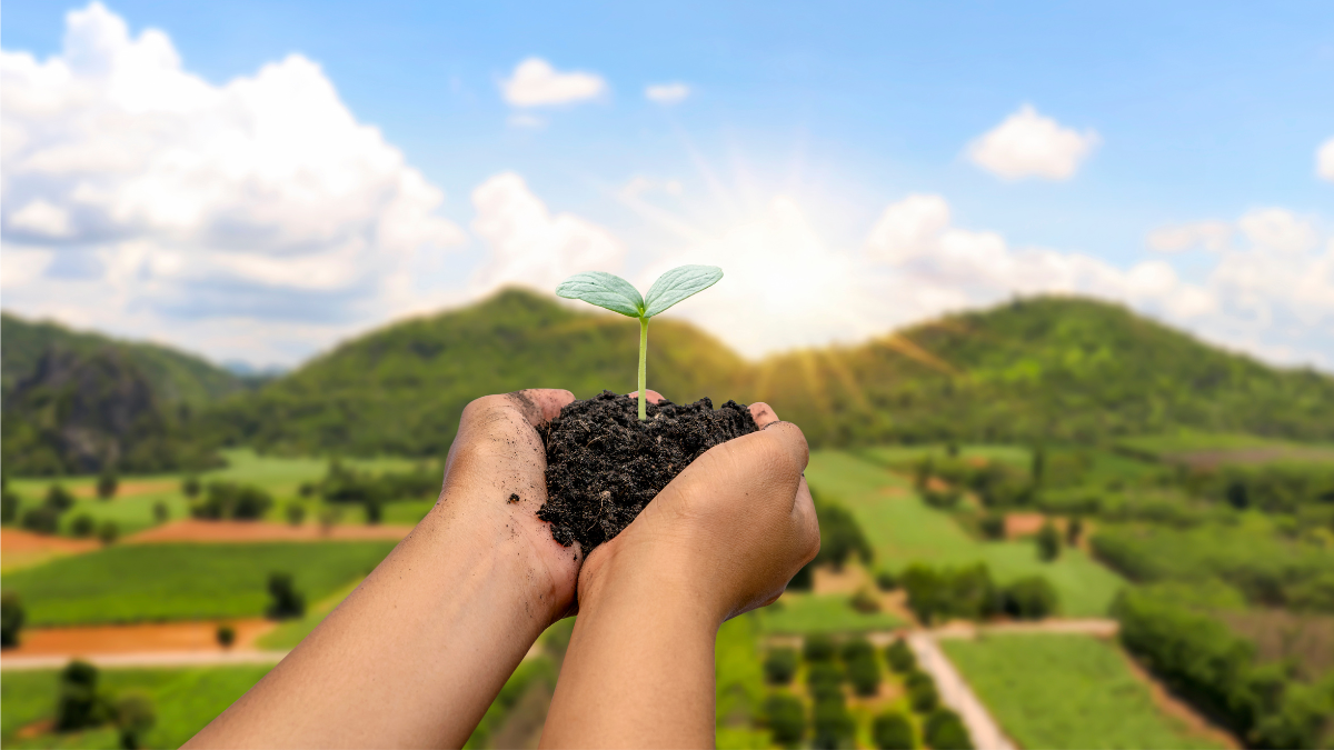 CIUDADES CHILENAS SOSTENIBLES - Tour Innovación