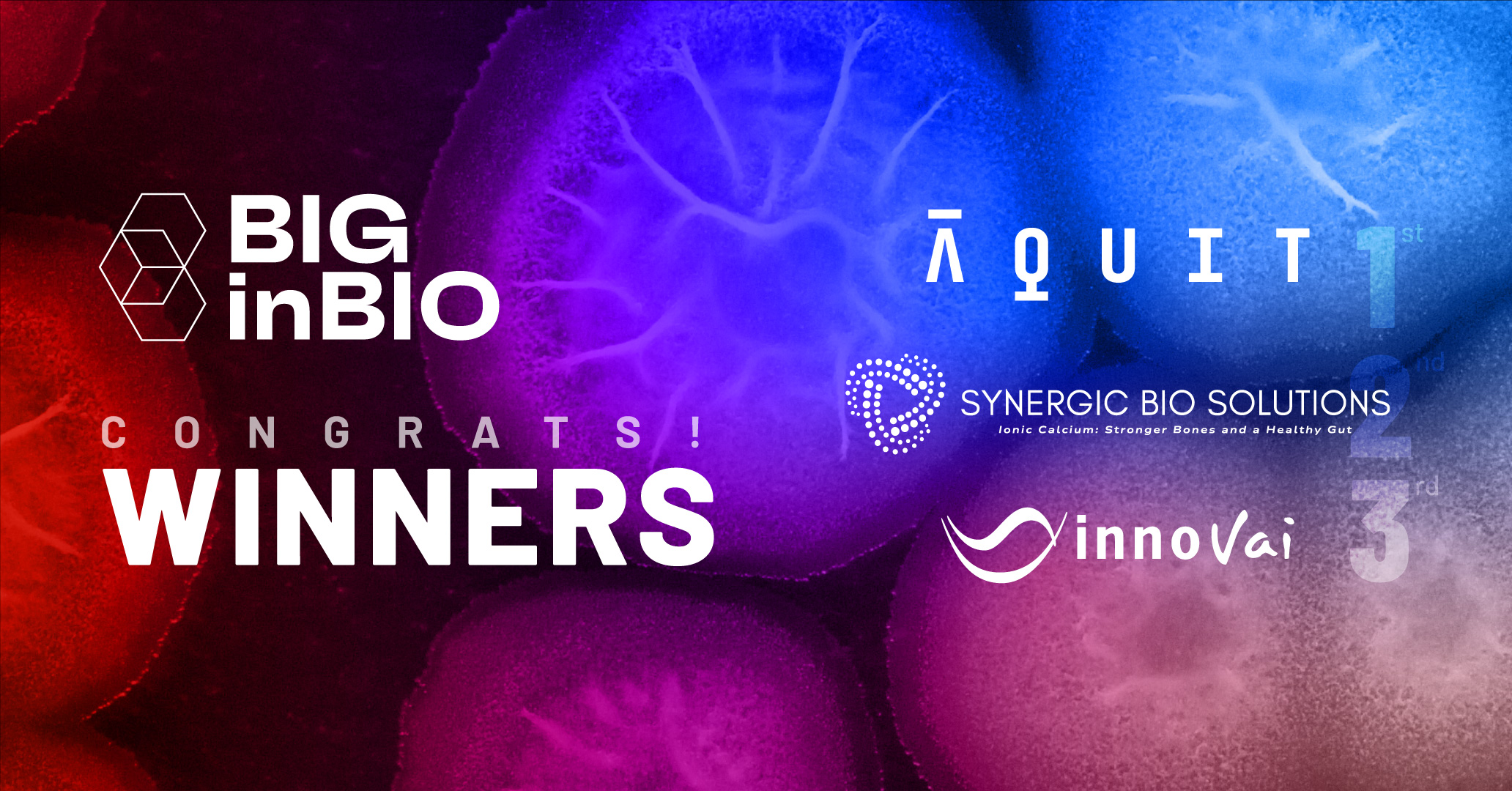 GANADORES DE LA 8ª GENERACIÓN DE THE GANESHA LAB