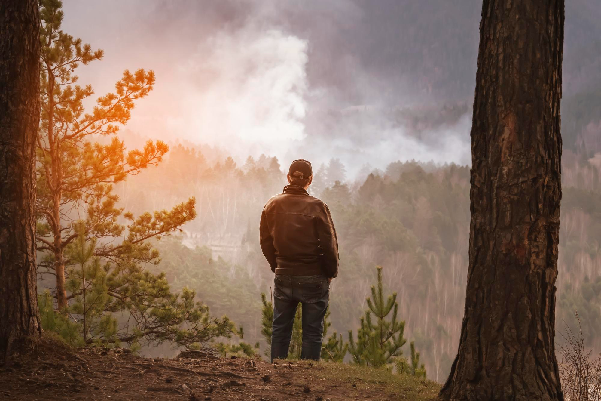 DETRÁS DE LAS LLAMAS: LOS MOTIVOS DE LA PIROMANÍA - Tour Innovación