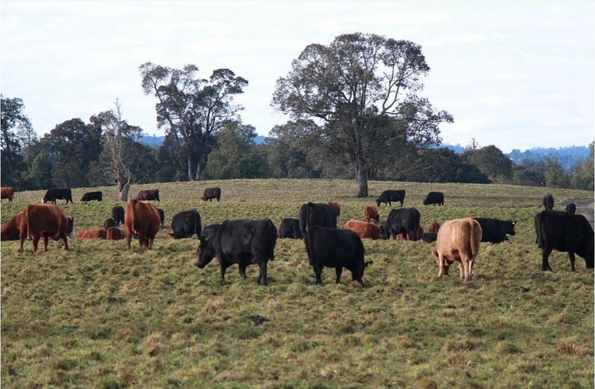 MINAGRI ANUNCIA AMPLIACIÓN DE PRADERAS AGROECOLÓGICAS PARA 24 NUEVAS ...