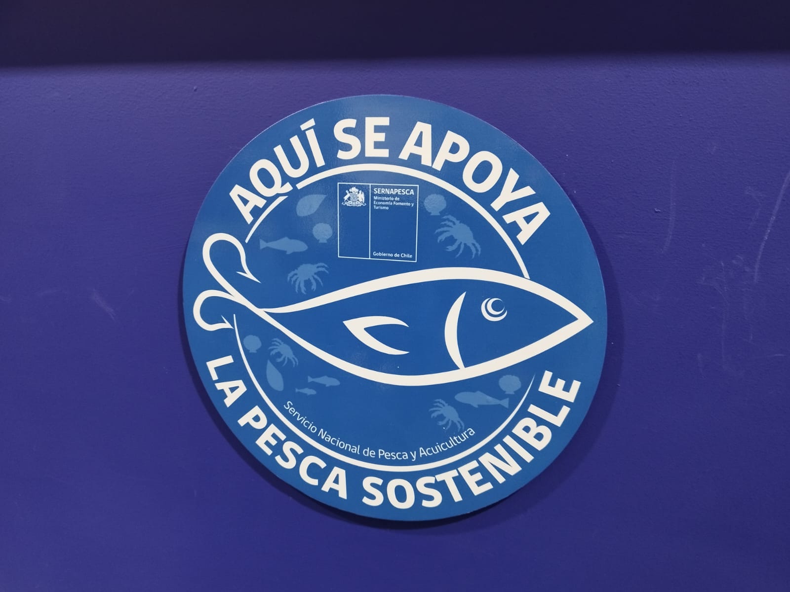 ESTABLECIMIENTOS COMERCIALES DESTACAN EL IMPACTO DEL SELLO AZUL EN EL ...