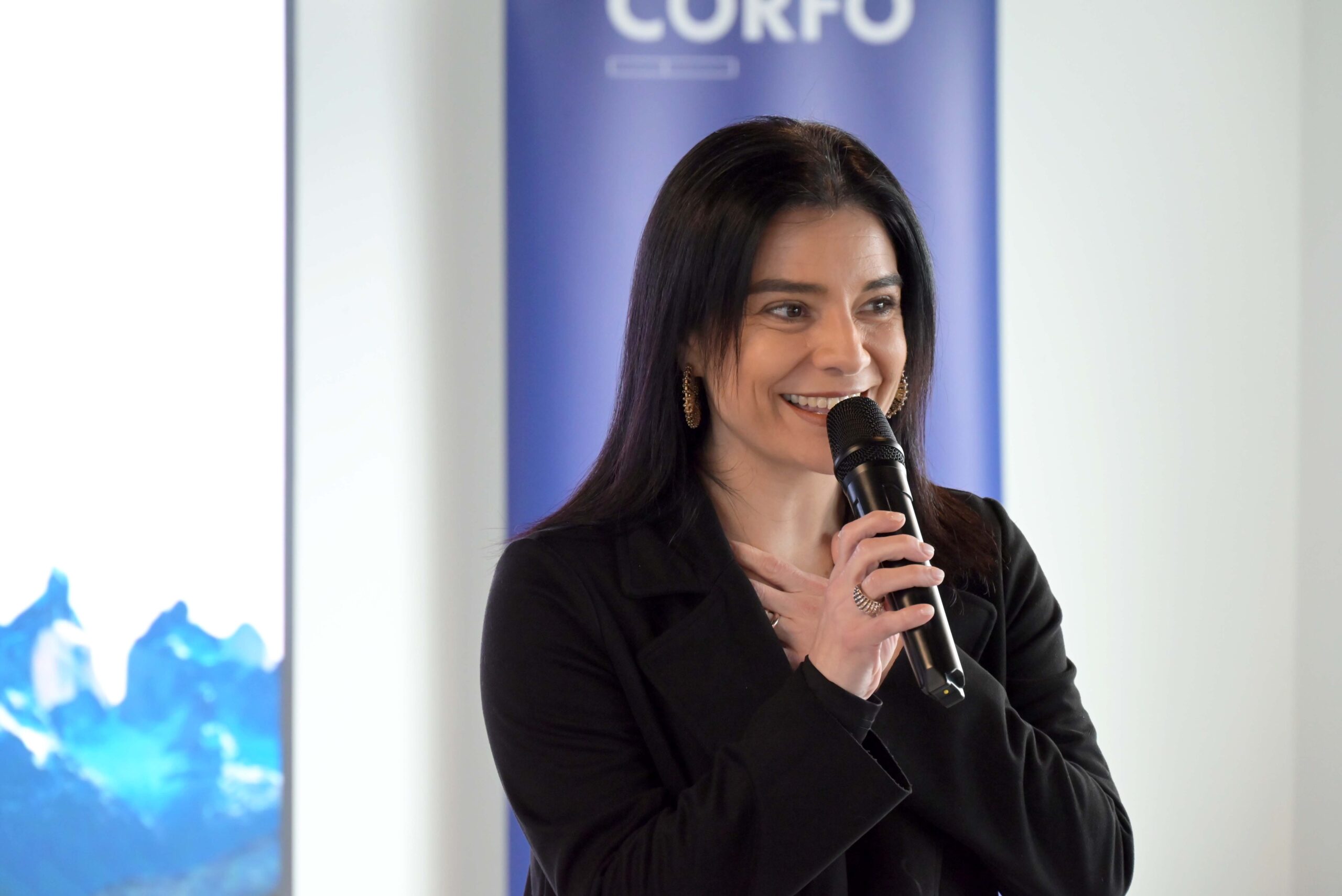 EMPRENDIMENTOS REGIONALES SON PROTAGONISTAS ENTRE LOS PROYECTOS ...