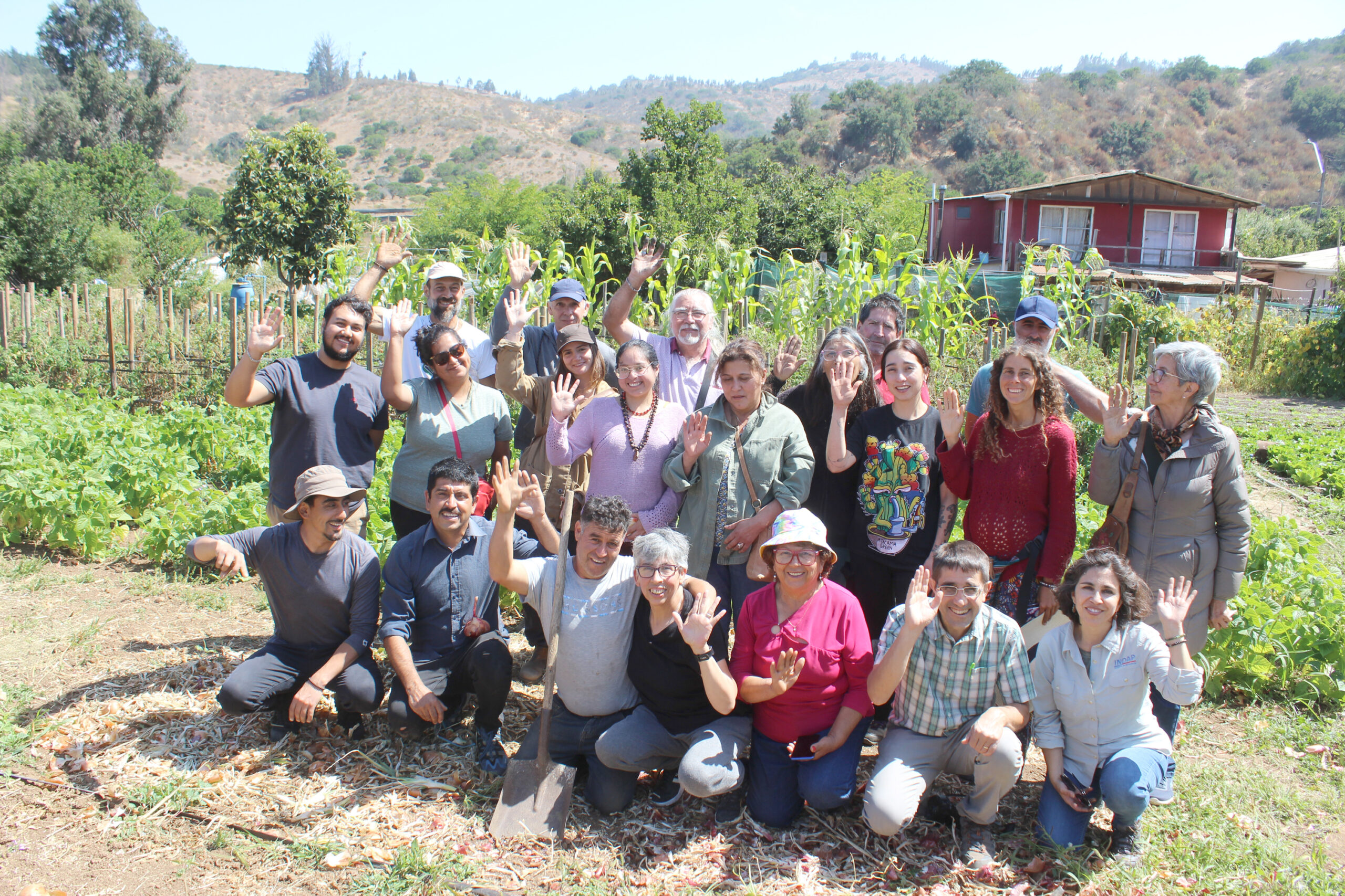 BIODIVERSIDAD: EL VALOR DE POLINIZADORES, ENEMIGOS NATURALES Y BANDAS FLORALES EN LOS ...