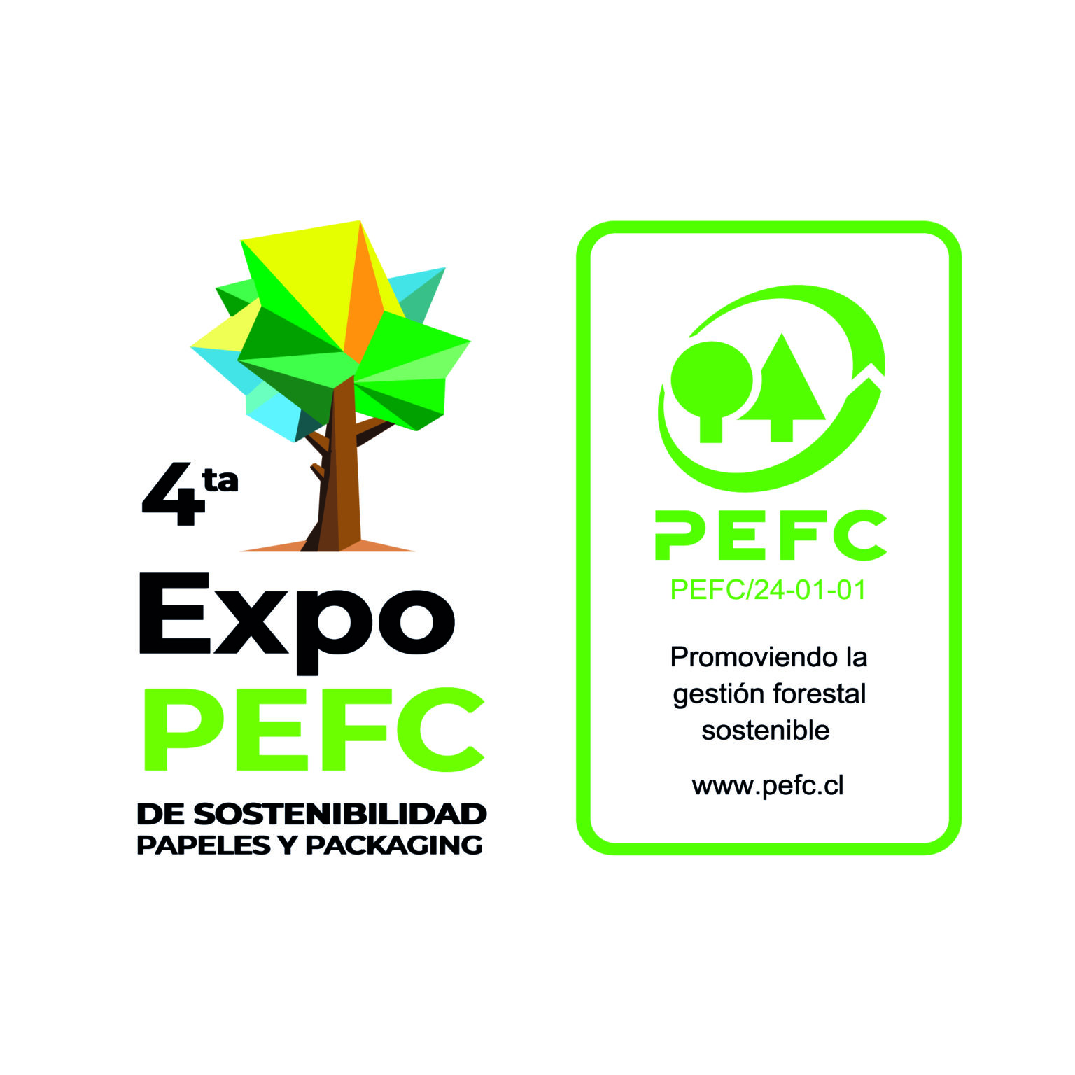 PEFC CHILE REALIZA LA 4TA EXPO DE SOSTENIBILIDAD, PAPELES Y PACKAGING: UN LLAMADO AL CONSUMO ...